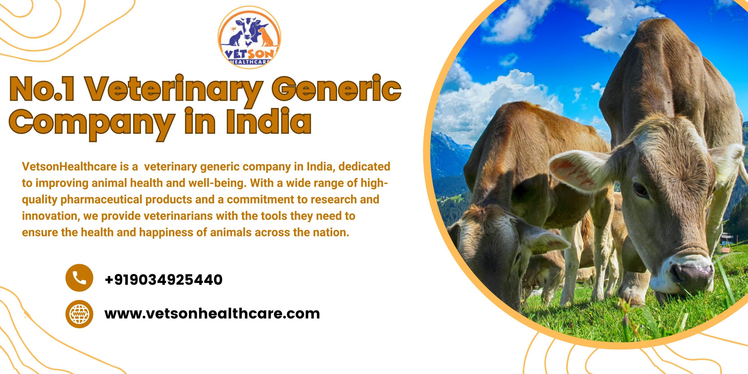 No.1 Veterinary Generic Company in India - Vetson Healthcare