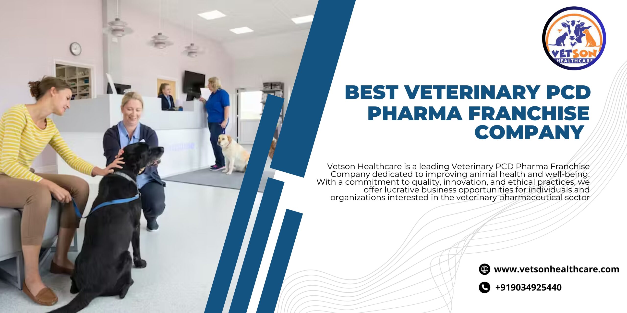 Best Veterinary PCD Pharma Franchise Company | Vetsonhealthcare ...