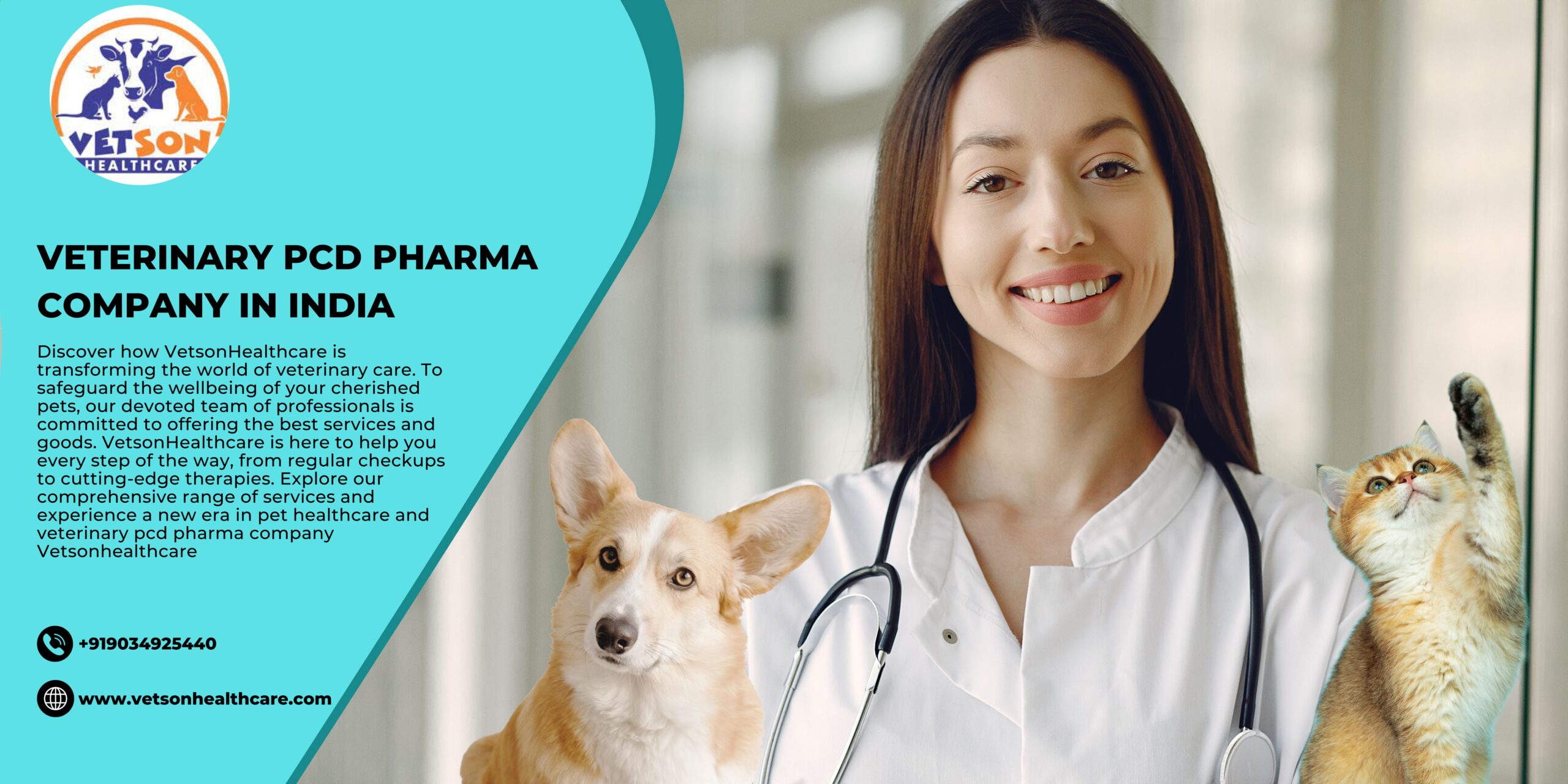 Veterinary Company In India Vetson Healthcare